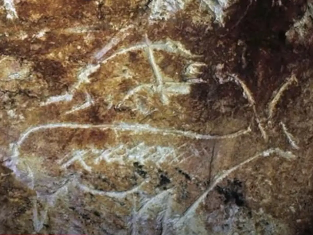 La cueva de Cosquer: así es el "museo rupestre" que se encuentra en el ...