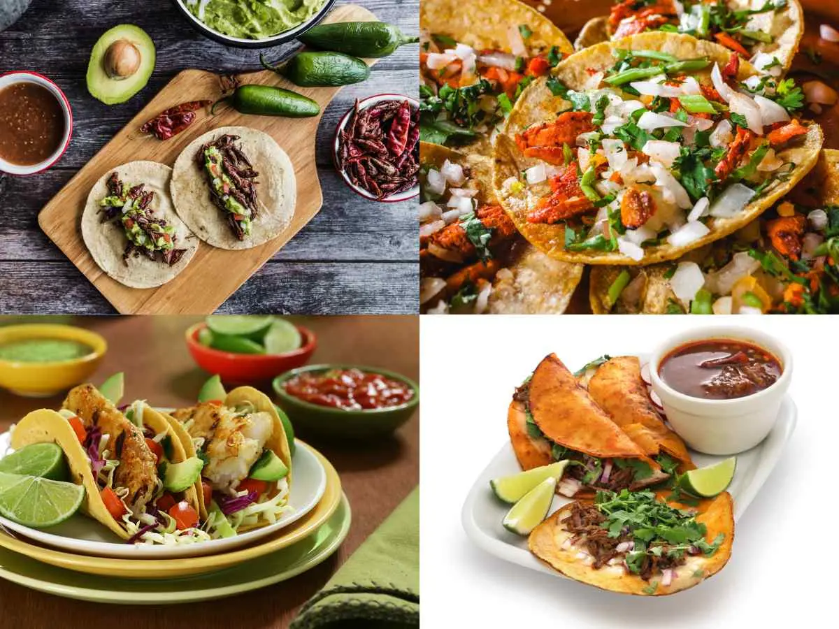 Tipos de Tacos en México: más de 100 variedades que debes probar