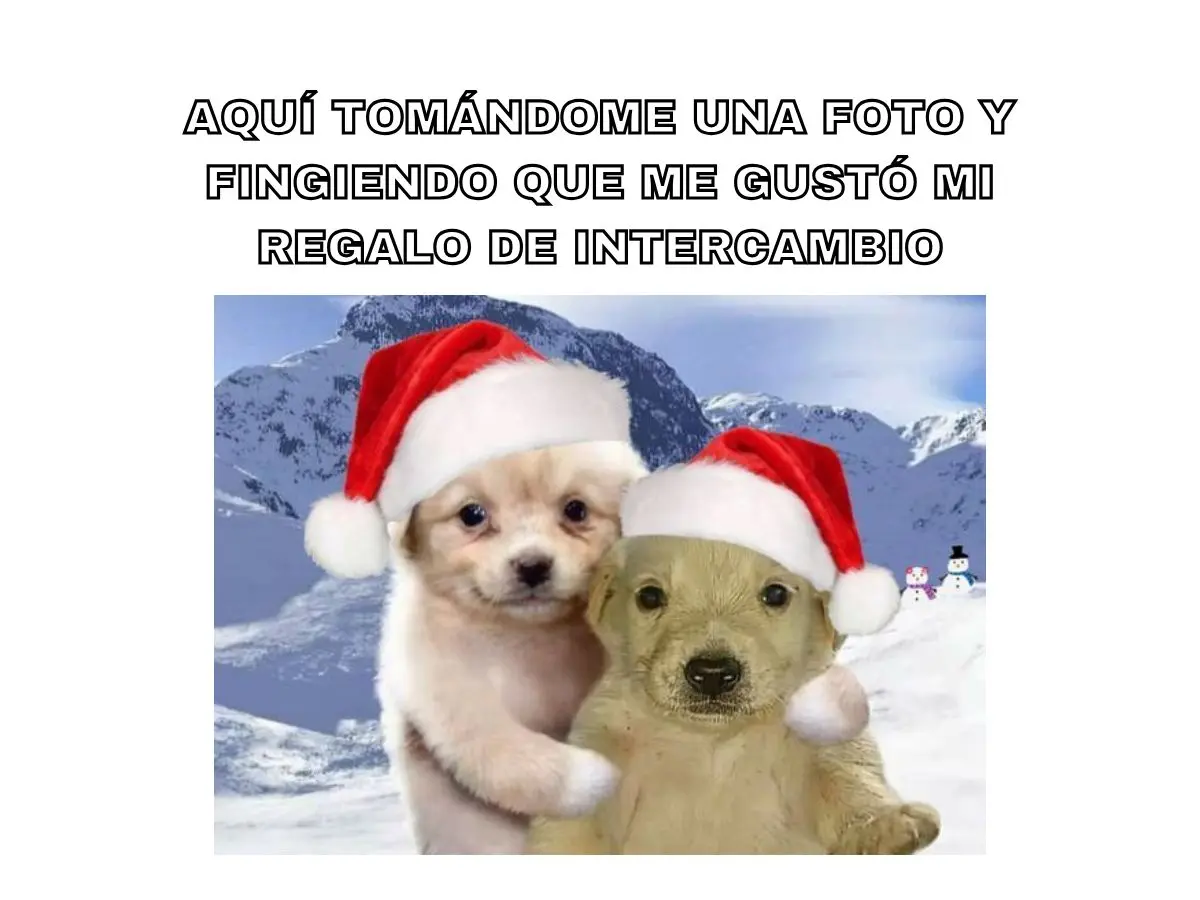 Memes de intercambio navideños