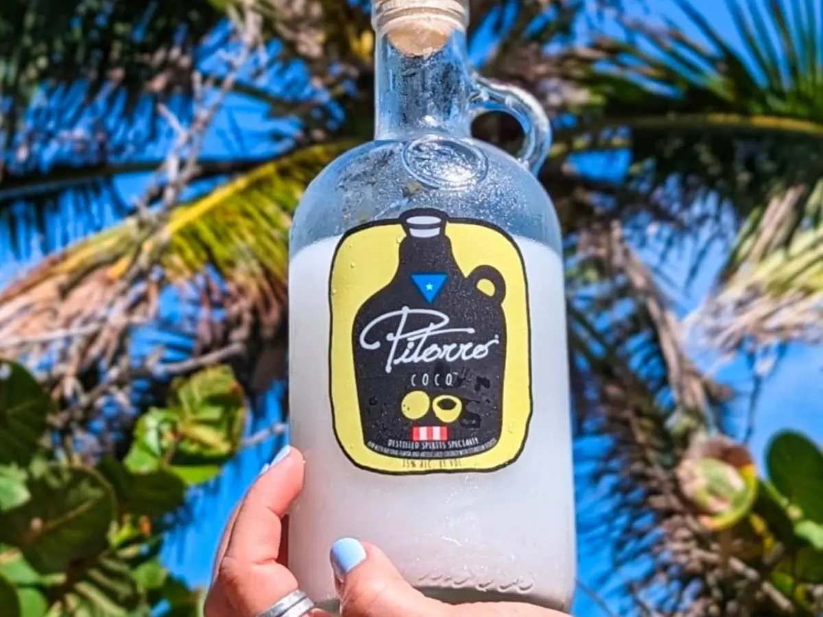 ¿Qué es el Pitorro de Coco? La bebida ilegal que da inspiración a Bad ...