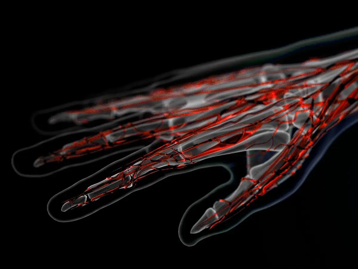 ¿Por qué se saltan las venas de las manos?