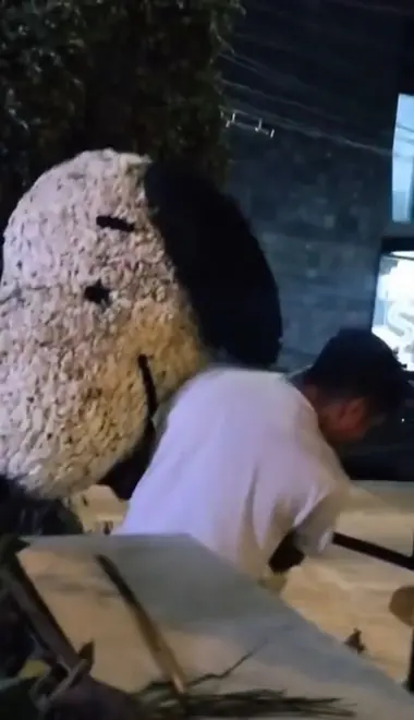 Snoopy de flores no fue robado en Polanco; la verdad detrás del viral