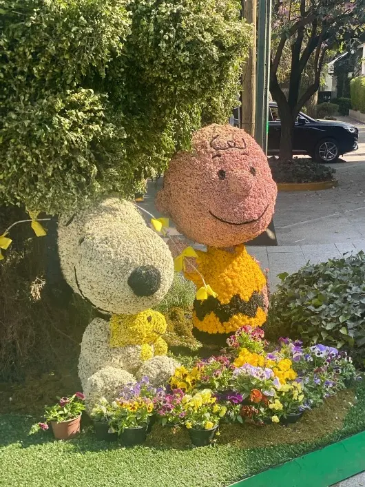 Snoopy de flores no fue robado en Polanco; la verdad detrás del viral