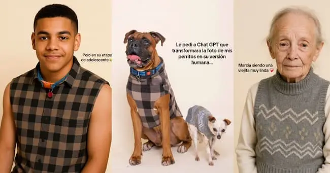 Así puedes hacer FOTOS de tu perro como humano con ChatGPT fácil y rápido