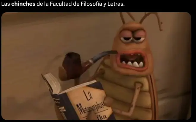 ¡Chinches, UNAM y memes, la combinación perfecta!