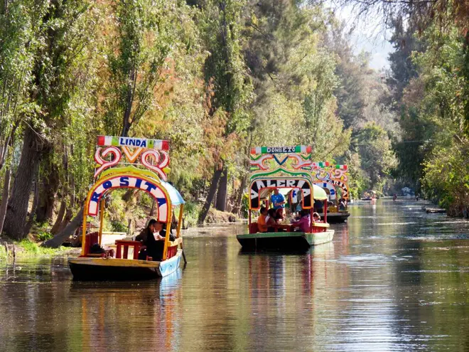 Qué son las chinampas y qué alimentos se producen en ellas