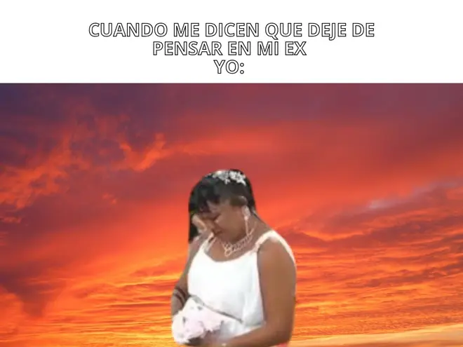 Perdónenme todos no acepto memes