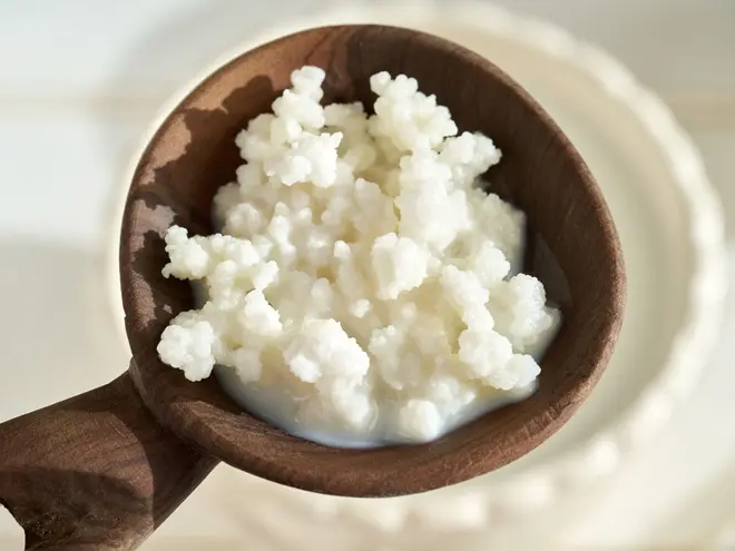 Búlgaros de leche: qué son y para qué sirven