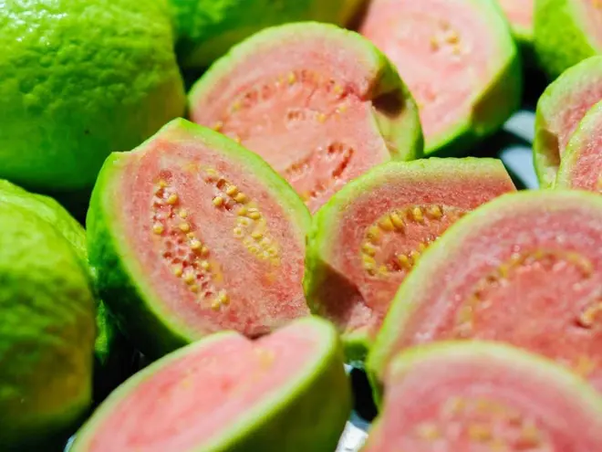 Guayaba de Calvillo, la más grande y dulce de todo México