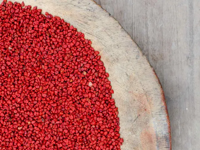 ¿Qué es el achiote? El ingrediente estrella de la cochinita pibil