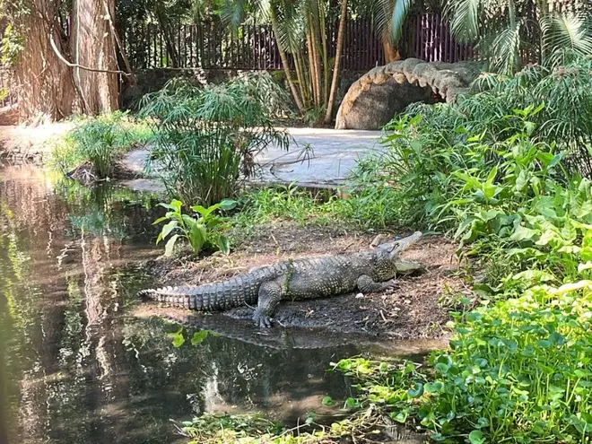 Parque Chapultepec en Morelos: cómo llegar y qué hacer