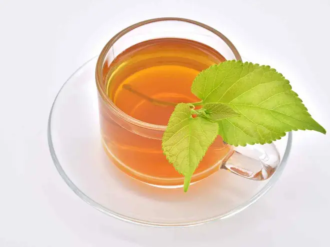 ¿Cuáles son los beneficios del té de sen? Esto dice la ciencia