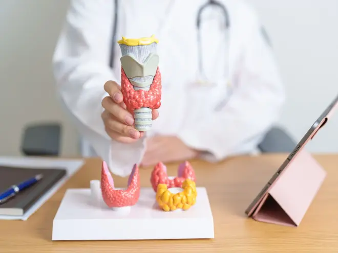 ¿Qué le pasa a la tiroides durante el embarazo?