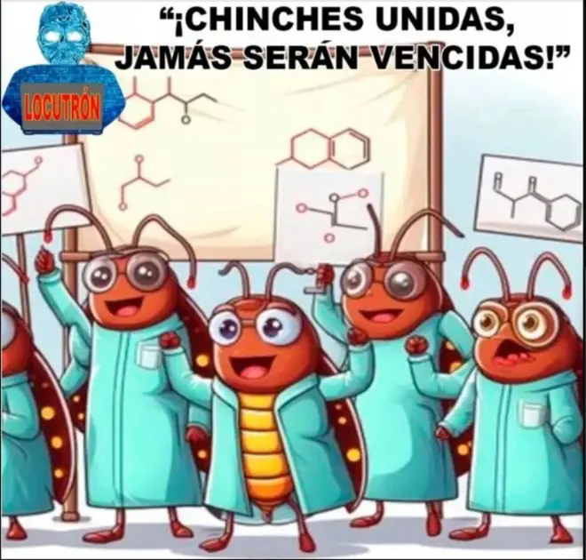 ¡Chinches, UNAM y memes, la combinación perfecta!