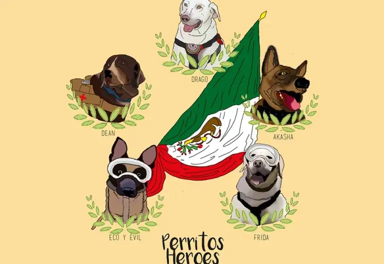Perros rescatistas, los nuevos héroes de los mexicanos | Excélsior