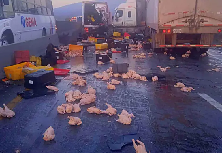 Roban pollos tras accidente entre tráiler y camión en García