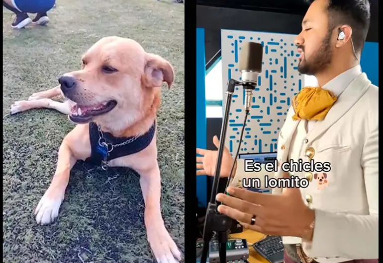 Mariachi compone corrido para El Chicles