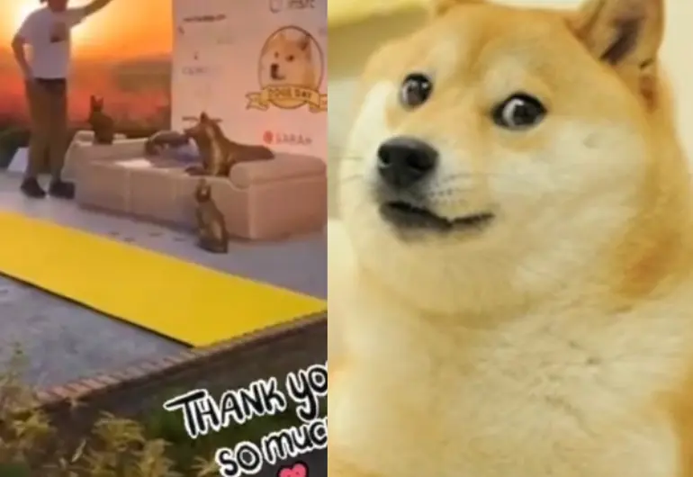 El Perro De Memes Memes De Cheems, El Perrito MÁS Viral Del Internet