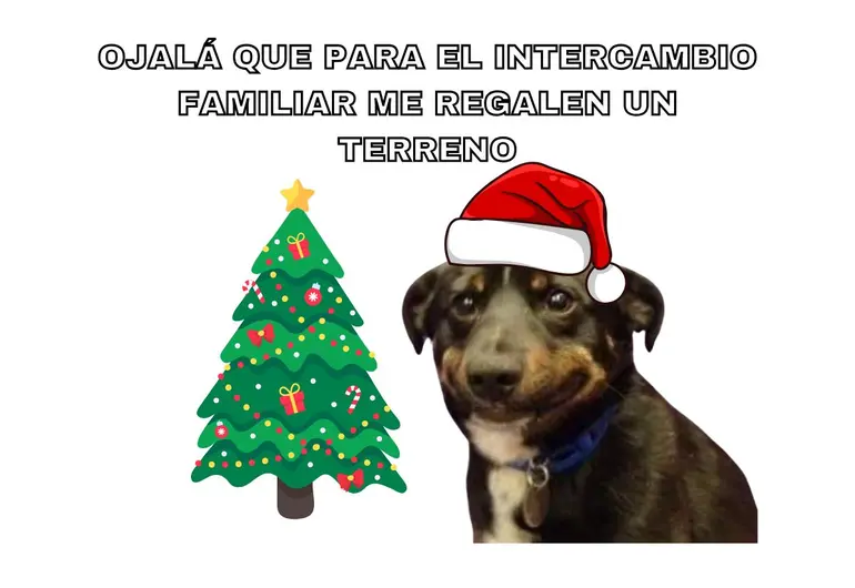 Memes de intercambio navideños