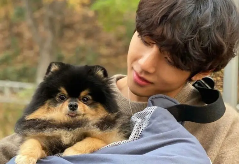 V de BTS anuncia el fallecimiento de Yeontan, su perrito; Army se ...