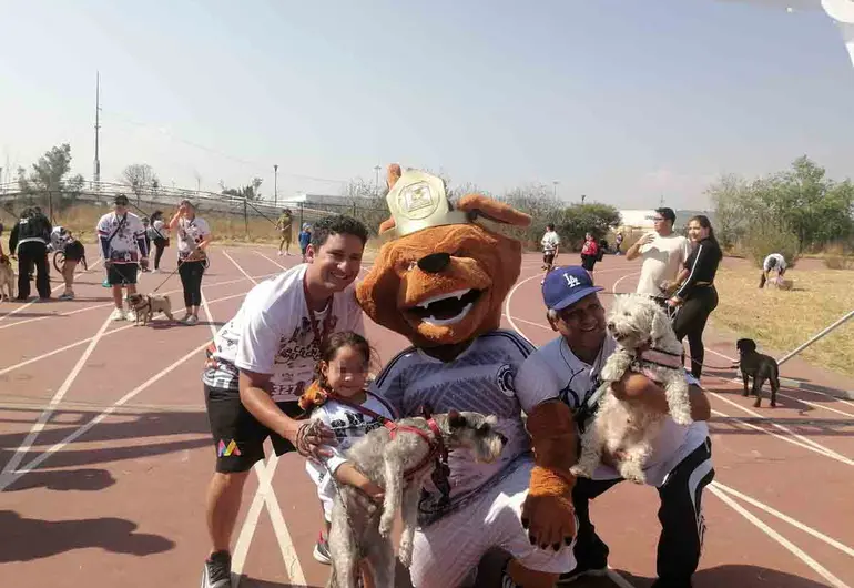 ¡Amor y diversión! Más de 380 perritos y sus dueños participan en la ...