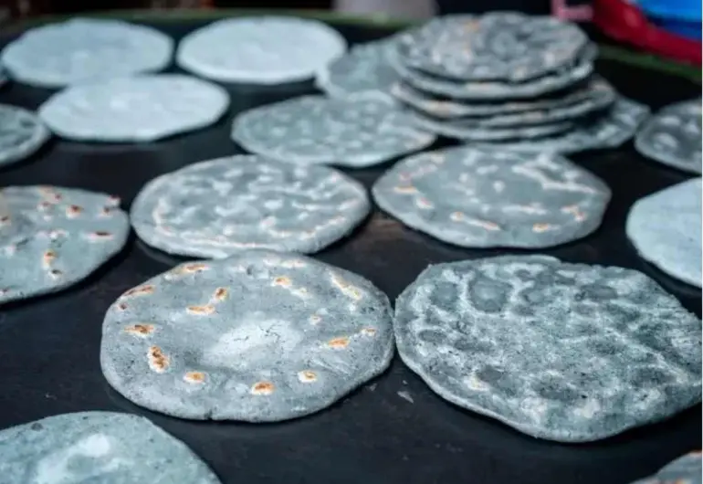 ¿Cómo diferenciar las tortillas de maíz azul de las tortillas pintadas?