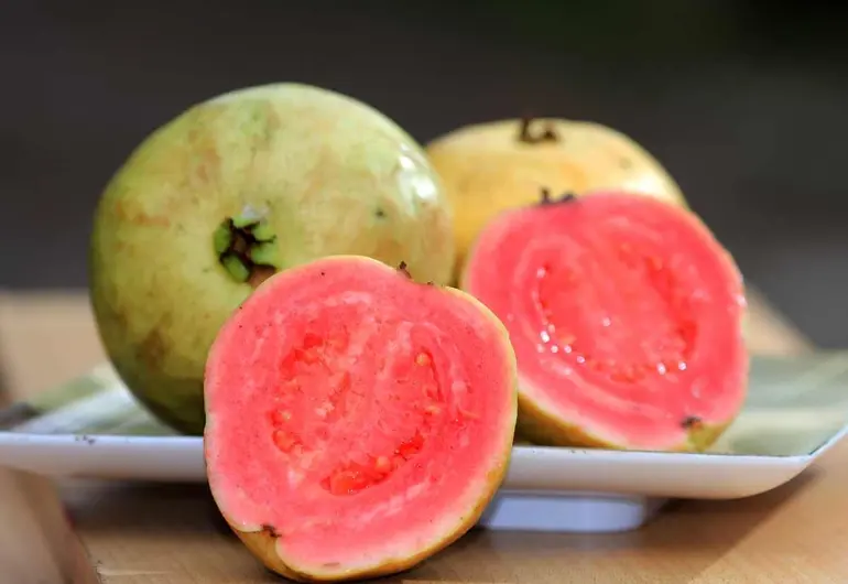 Guayaba de Calvillo, la más grande y dulce de todo México