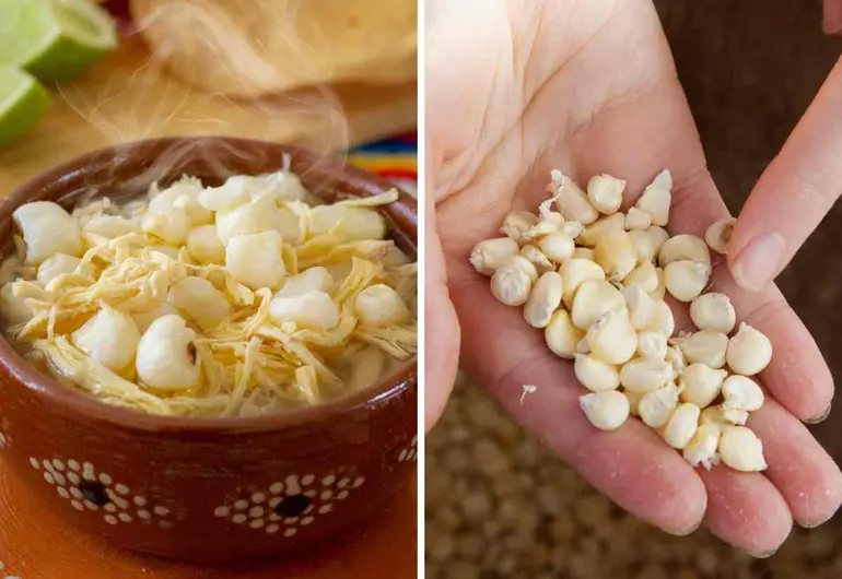 ¿Qué es el maíz cacahuazintle y por qué se usa en el pozole?