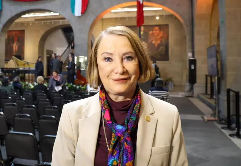 Perfil de Laura Itzel Castillo Juárez, nueva presidenta de la Mesa ...