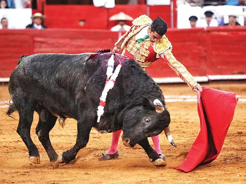 Garibay, por la puerta grande