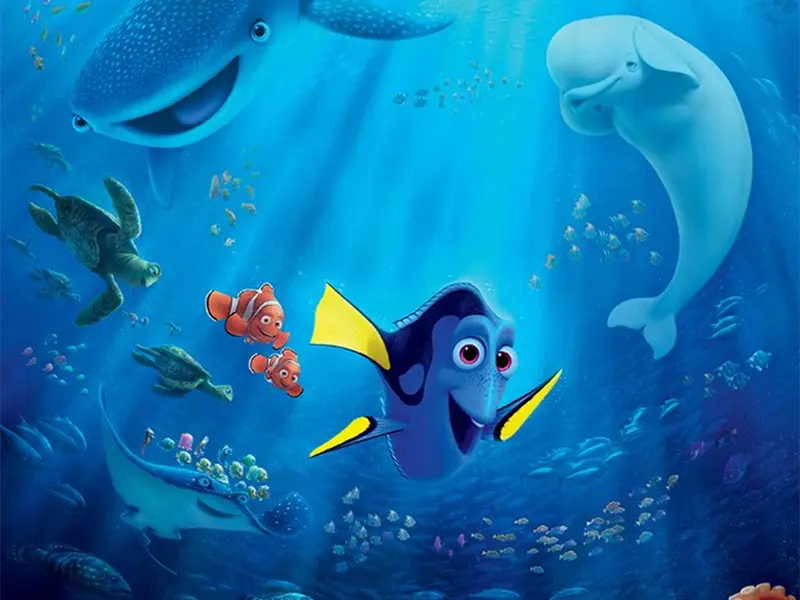 ¿Dory, dónde estás?