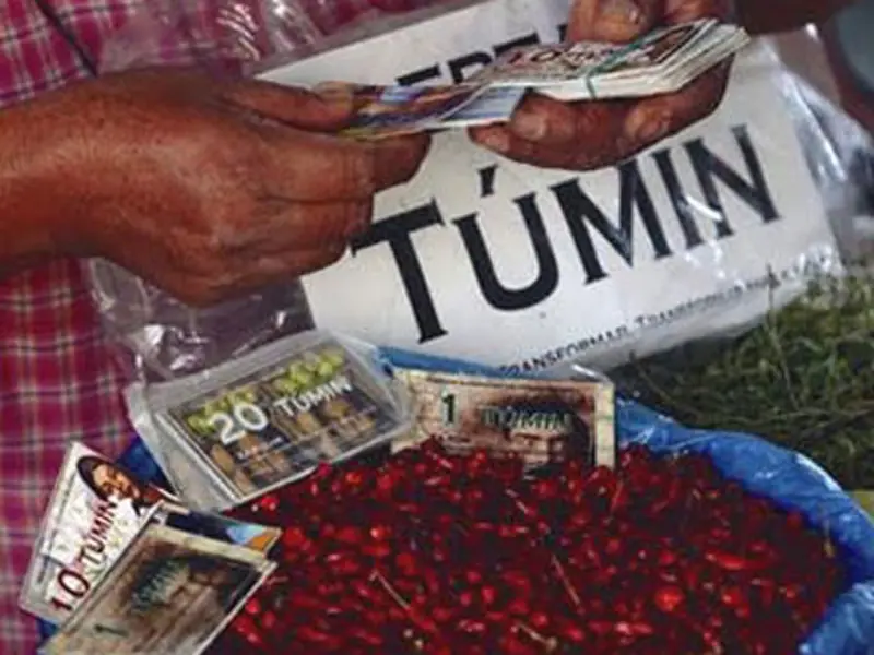 Conoce el Túmin, el dinero alternativo usado en México | Excélsior