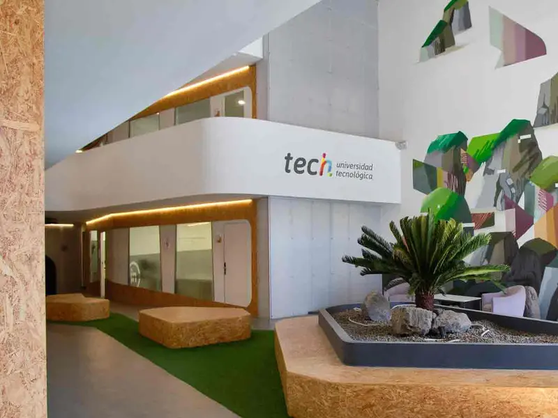 TECH México, la mayor oferta de estudios en la universidad online más ...