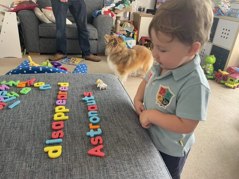 Teddy Hobbs, el niño genio de 4 años que puede