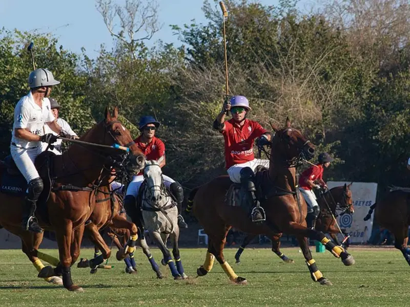 Polo en el paraíso