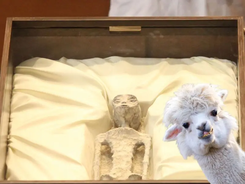 Jaime Maussan: desmienten que sean extraterrestres momias de Cámara de ...