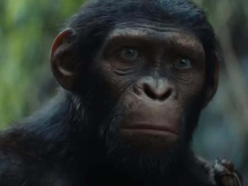Revelan tráiler de Kingdom of the Planet of the Apes; así luce