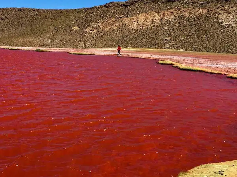 ¿Presagio bíblico? El Río Nilo se tiñe de rojo y genera incertidumbre ...