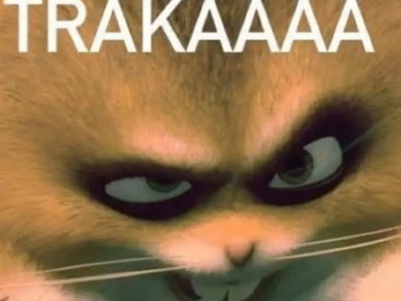 Eso significa Traka, la palabra viral de TikTok