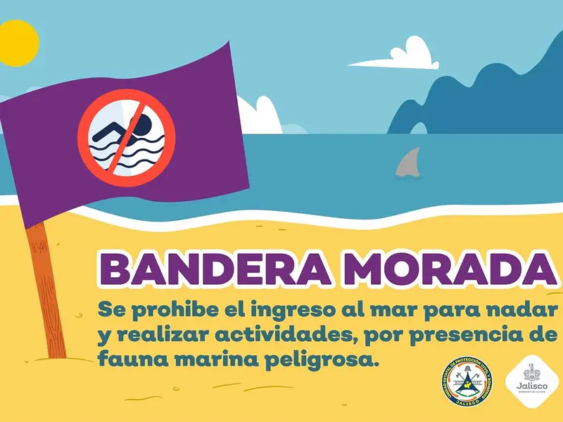 ¿Qué significan los colores de las banderas en la playa? En Melaque hay ...