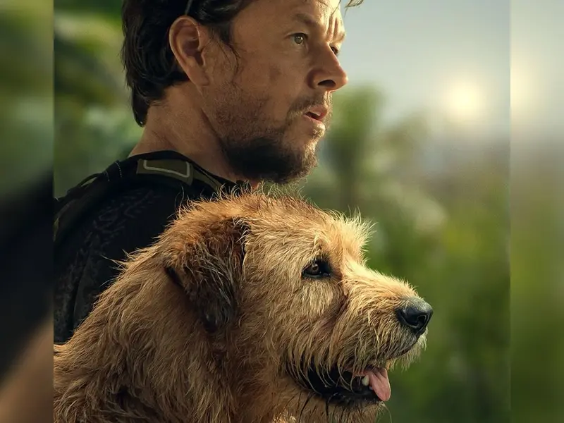 ¿Cuál es la verdadera historia de la película 'Arthur: una amistad sin ...
