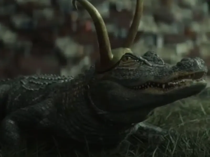 Wally, caimán de serie de Loki habría sido robado