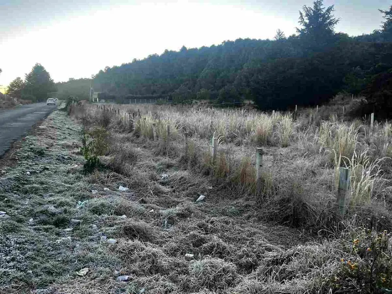 Heladas y bajas temperaturas anticipadas en la zona del Ajusco
