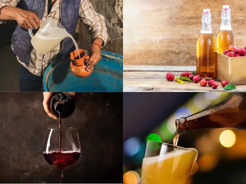 ¿Qué son las bebidas fermentadas? Conoce cuáles son y cómo se elaboran