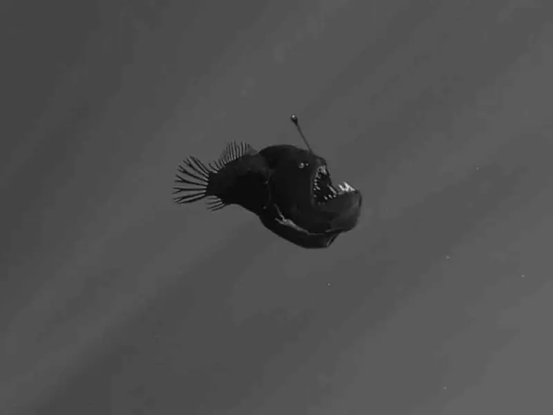 ‘Qué muerte poética, salió de su zona de confort’: conmueve ...