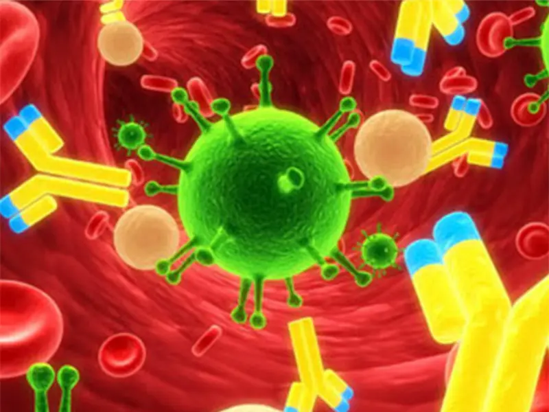 Excélsior en la Salud: Una crema demuestra eficacia contra el VIH