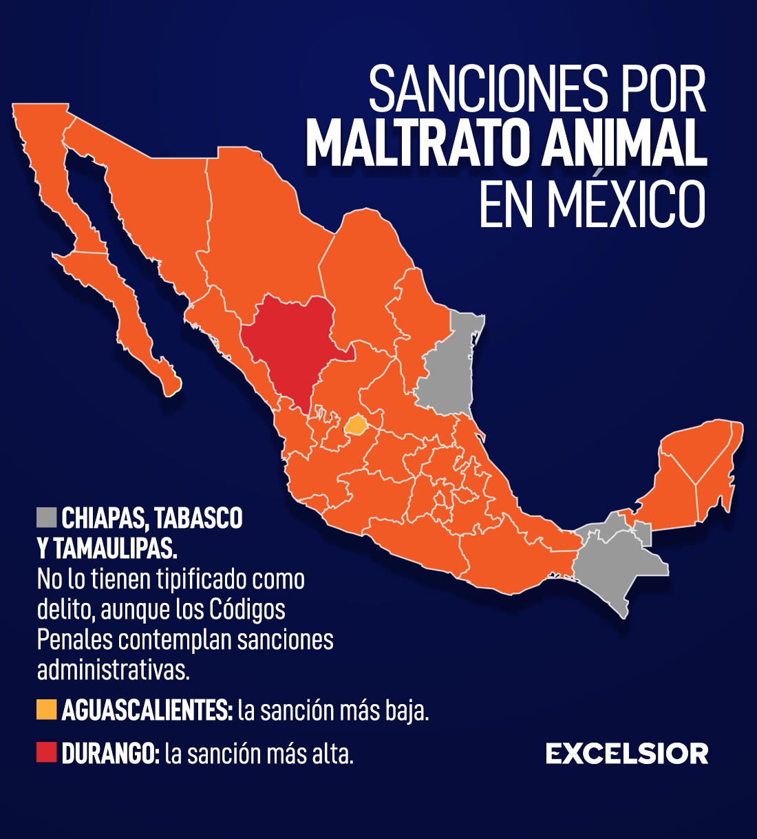 Estadísticas De Maltrato Animal