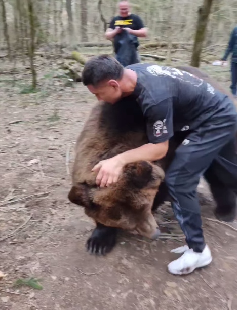 Video de luchador de MMA peleando con oso