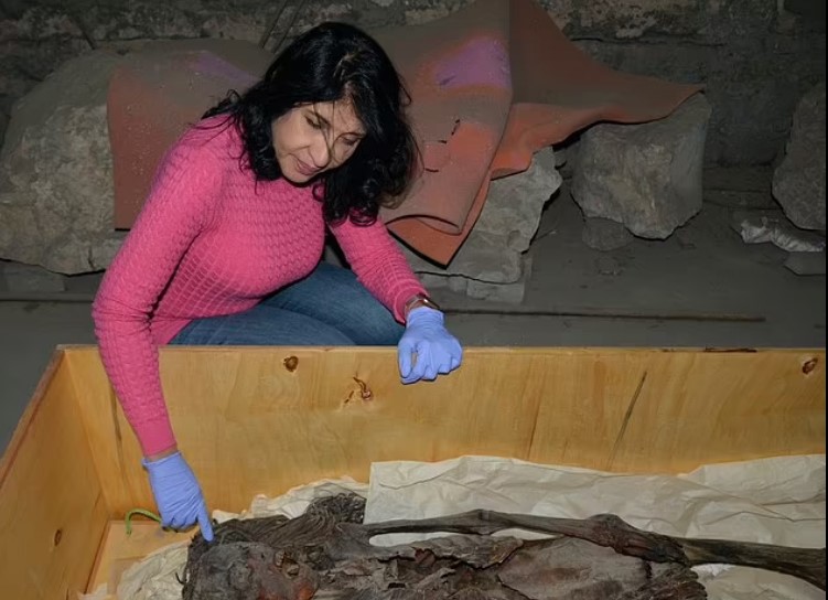 El misterio de la 'Momia Gritona': revelan que mujer egipcia tuvo una ...