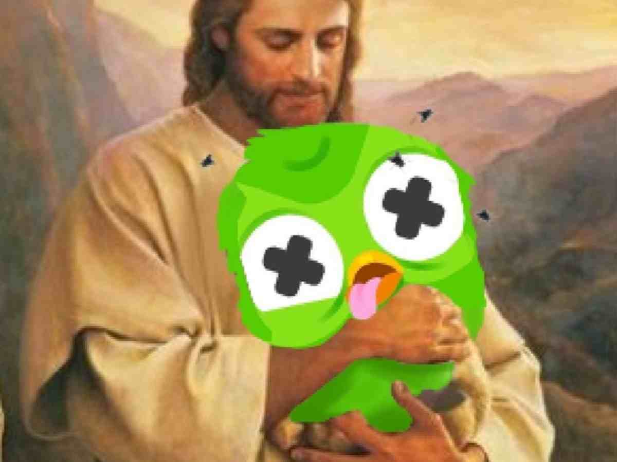 Memes de la muerte de Duolingo, así se despidió Internet del búho